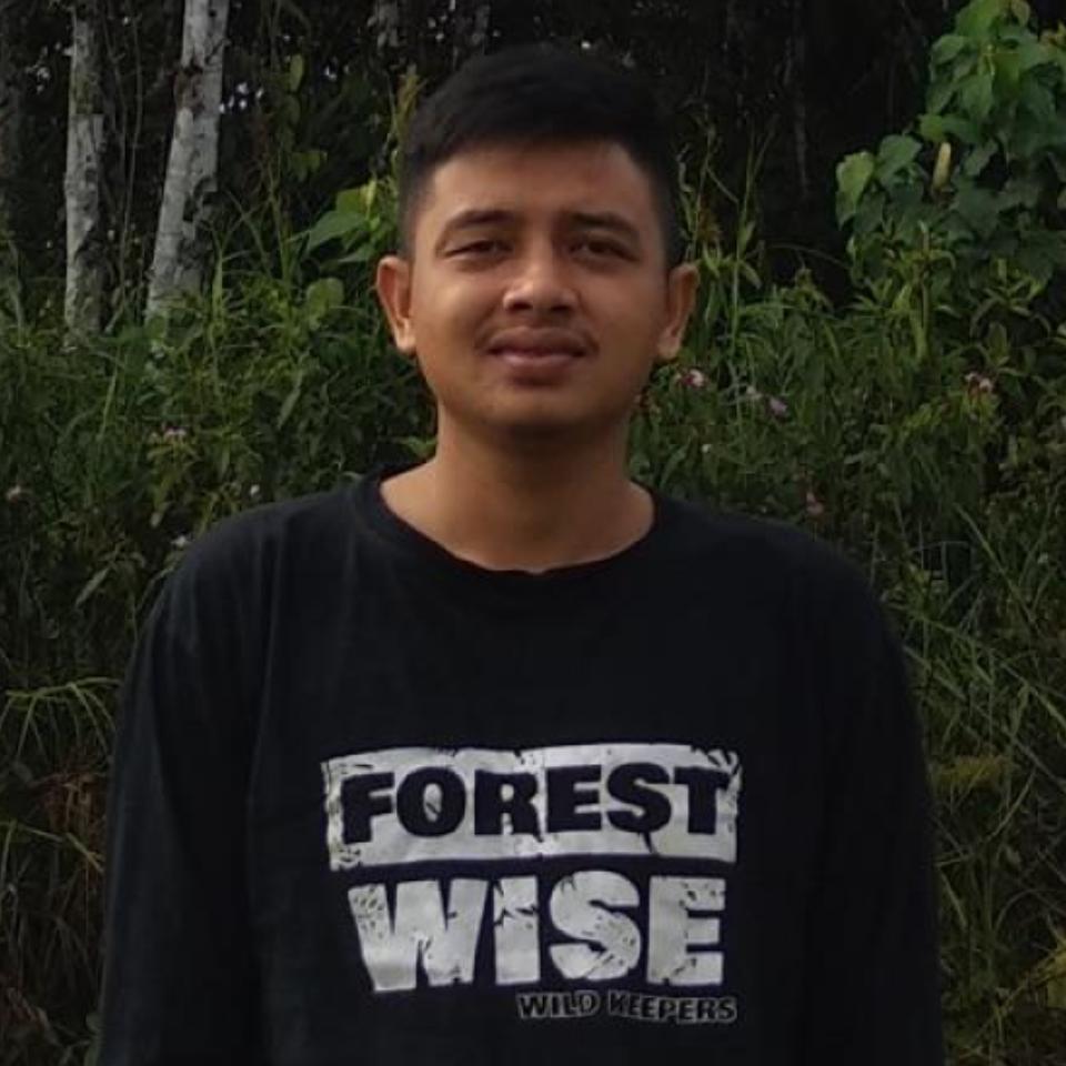Forestwise - About us